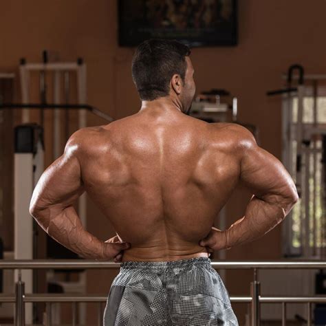Image result for Back Workout for Definition