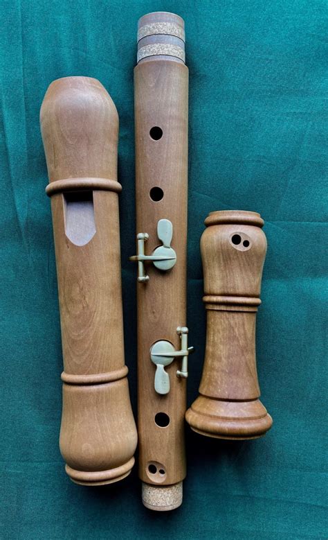 Image result for Tenor Recorder Performance