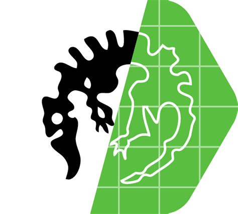 Image result for Paradox Interactive Logo