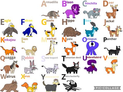Image result for ABC Animal Alphabet