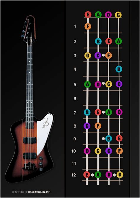 Image result for All Regular Notes Bass
