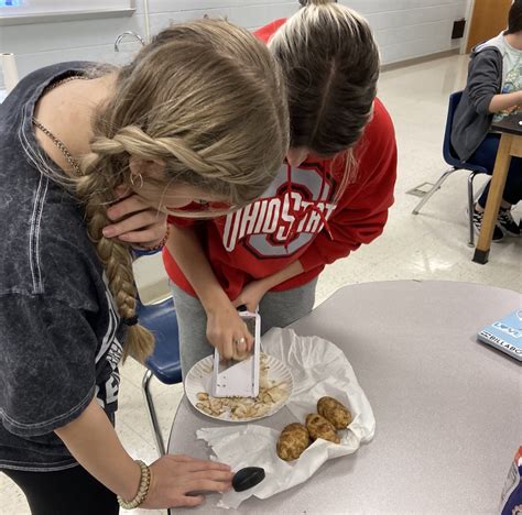 Image result for Chips Lesson for 4th Class