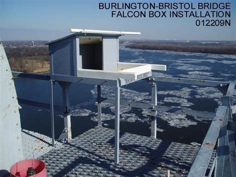 Image result for Box Camera Falcon