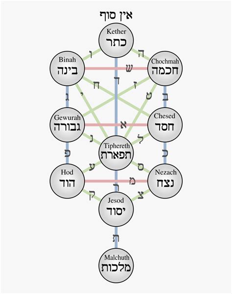 Image result for Zohan Life Tree