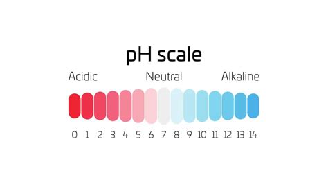 Image result for pH Scale Baking Powder