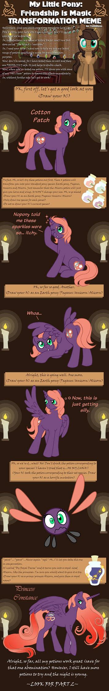Image result for MLP Transformation