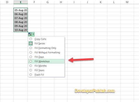 Image result for How to Auto Fill Excel