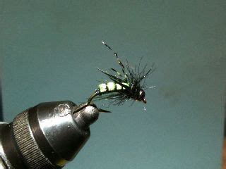 Image result for Floating Nymph Fly Pattern