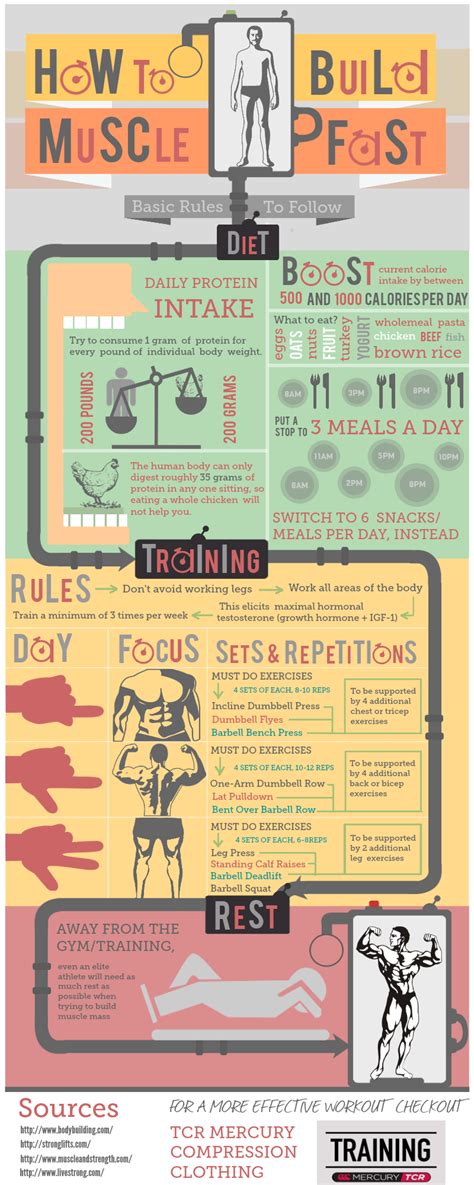 Image result for How to Build Muscle