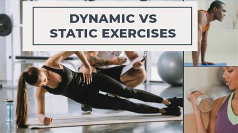 Image result for Static Vs. Dynamic Exercise