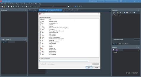 Image result for RAD Studio Install