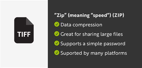 Image result for Zip File Type