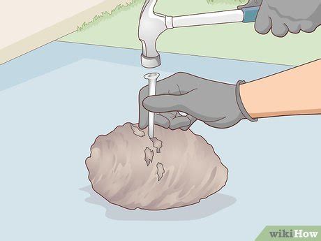 Image result for How to Polish Paua Shells