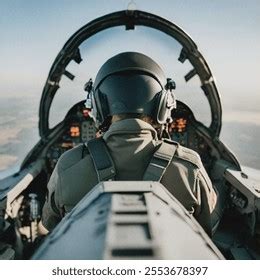 Image result for Pilot Back Cockpit View