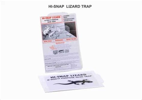 Image result for Lizard Trap Cold Storage