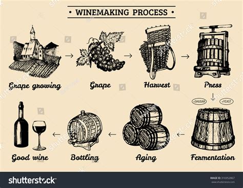 Image result for Wine Production Process