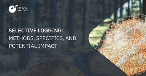 Image result for Selective Logging