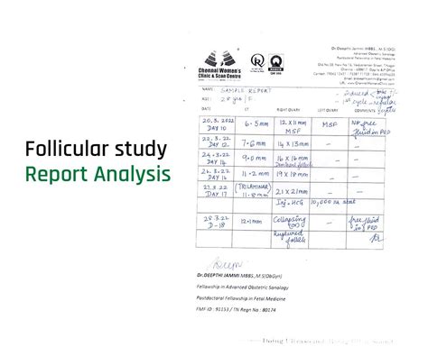 Image result for Follicular Study Scan