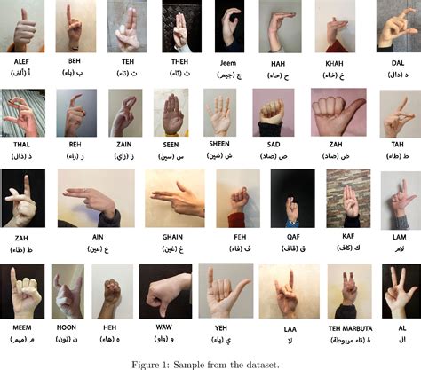 Image result for Arabic Sign Language