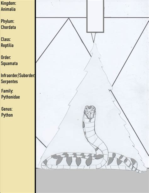 Image result for Python Inherited Traits Reptile