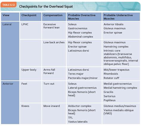 Image result for NASM Superset Exercise Example