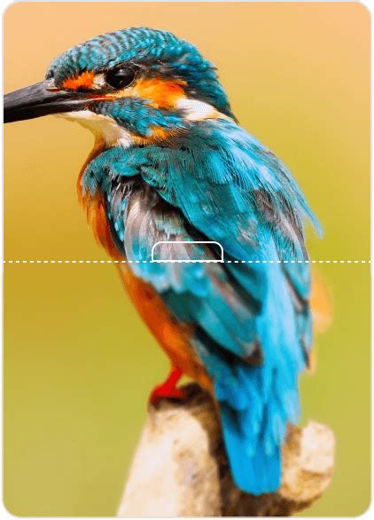 Image result for Jpeg Enhancer