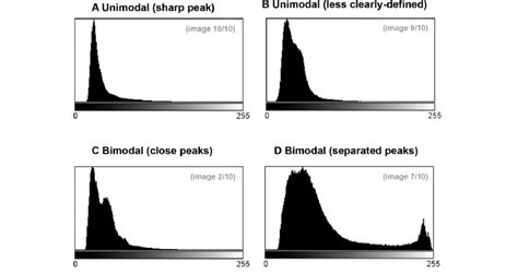 Image result for Histogram Types