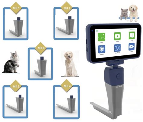 Image result for Digital Intubation