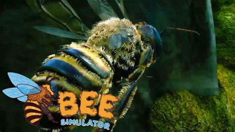 Image result for Bee Simulator PS4