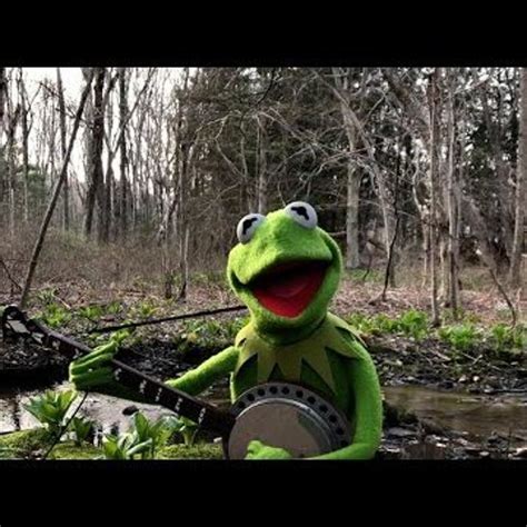 Image result for Rainbow Connection Kermit 2011