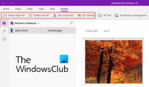 Image result for How to Rotate Image On OneNote