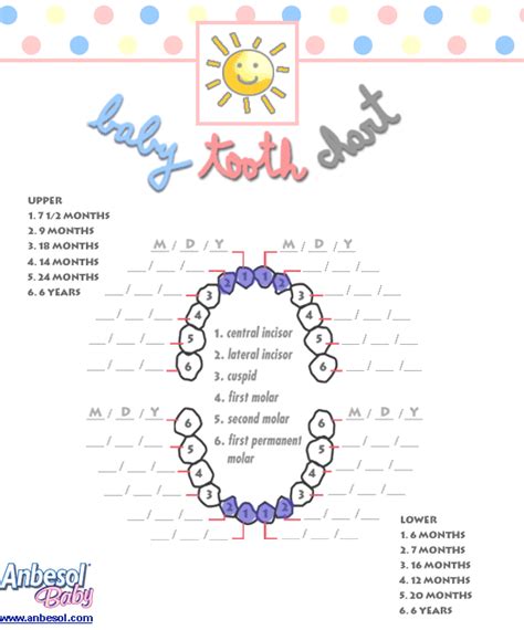 teething_chart | So Rae...Me