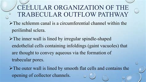 Image result for Aqueous Humor Flow