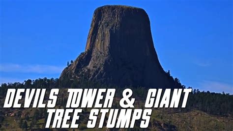Image result for Devils Tower Tree Stump