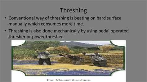 Image result for Chapter 12 Milled Rice