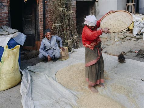 Image result for Jute Processing