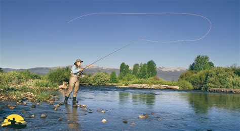 Image result for Fish Rod Cast Out