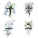 January Birth Flower: The Snowdrop and Its Meaning, Tattoo – The Bridge ...