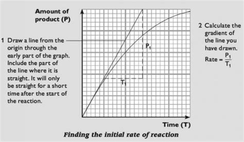 Image result for Initial Rate of Reaction Graph