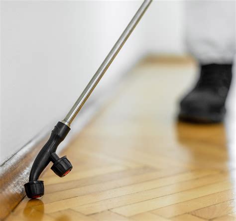 Image result for Cockroach Ontario