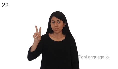 Image result for 22 Sign Language