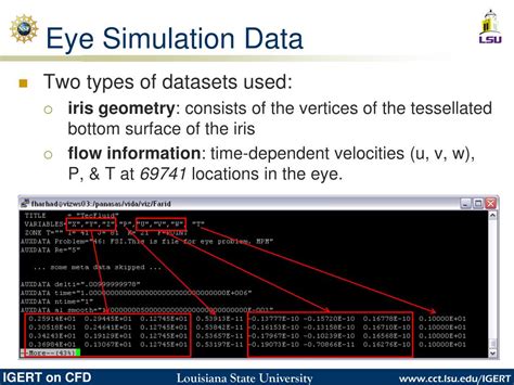 Image result for Visual Simulation