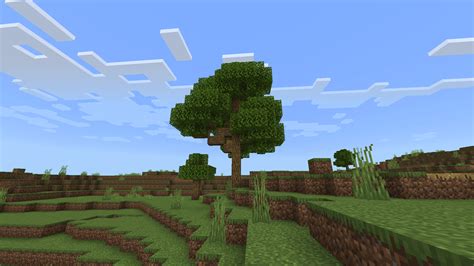 Image result for Swamp Oak Tree Minecraft