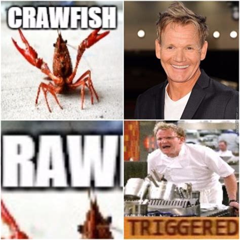 30+ Gordon Ramsay Memes That Will Lift Your Mood | Inspirationfeed