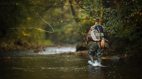 Image result for Fly Fish Cast
