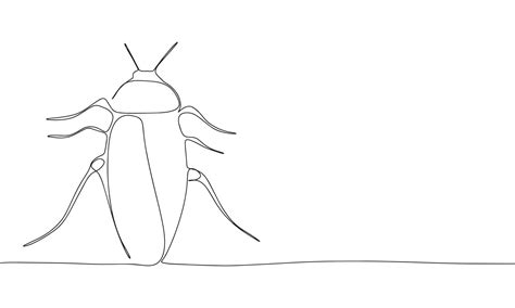 Image result for Cockroach Line Art