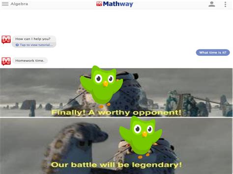 Image result for Mathway Meme