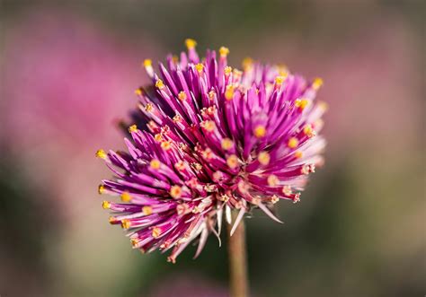 Image result for Hello Spring Wallpaper