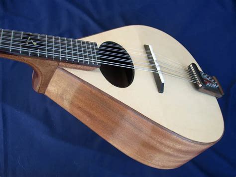 Image result for 10 String Mandolin