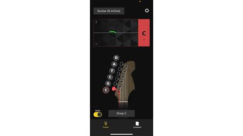 Image result for Drop C Tuning